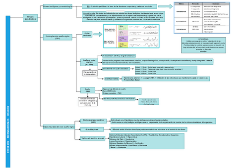 UC3-psicofisiologia.drawio.pdf
