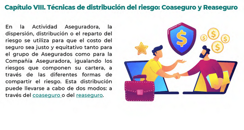 Tecnicas-de-Distribucion-de-RiesgoResumen.pdf
