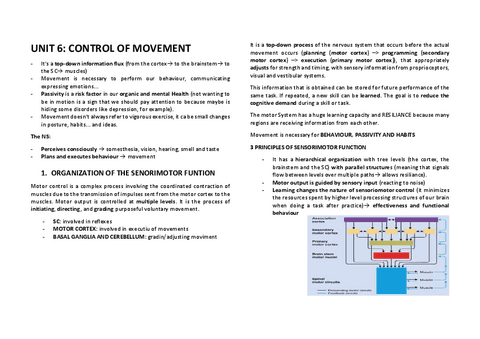 UNIT-6-CONTROL-OF-MOVEMENT.pdf