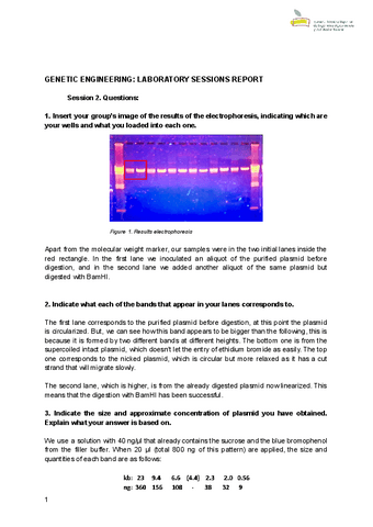 Laboratory-sessions-report.pdf