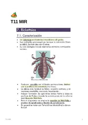 T11-MIR.pdf