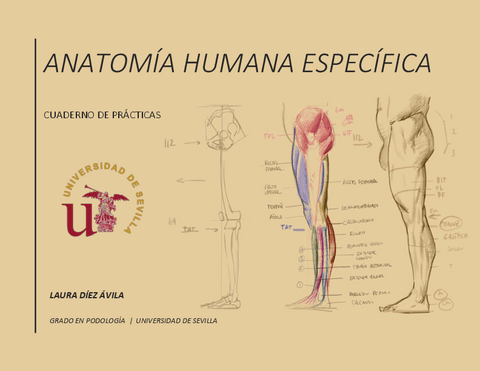 CUADERNO-DE-PRACTICAS-ANATOMIA-ESPECIFICA.pdf