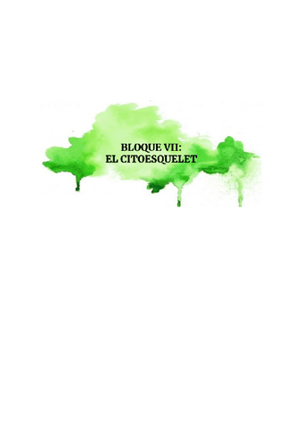 BT7-BIO-EL-CITOESQUELET.pdf