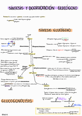 Esquema síntesis y degradación glucógeno.pdf