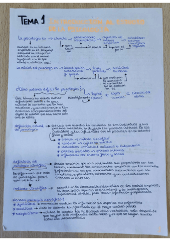 Esquemas (Psicología de la motivación).pdf