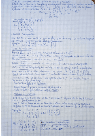 Matematicas-Resumen-Teoria-Tema-5-y-Solucion-de-Ejercicios.pdf