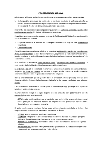 PROCEDIMIENTO-JUDICIAL.-introduccion.pdf