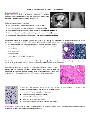 Tema-37-y-38-Patologia-de-la-pleura-y-el-mediastino.pdf