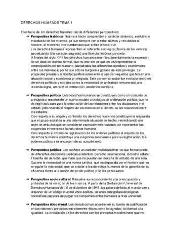 DERECHOS-HUMANOS.pdf