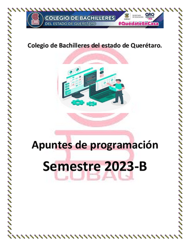 Apuntes-de-programacion..pdf