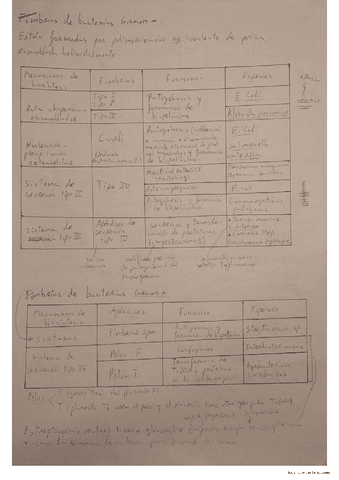 Resumen-micro-todo.pdf