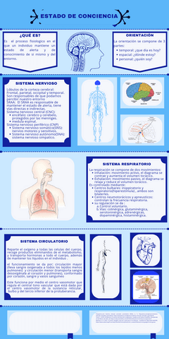 Infografia-estado-de-conciencia.pdf