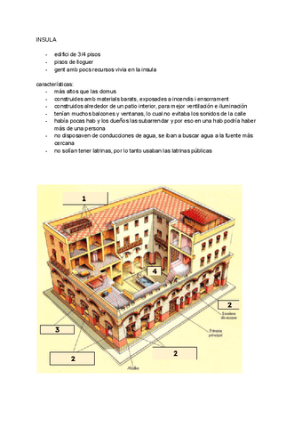INSULA.pdf