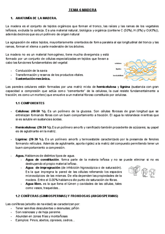 TEMA-6-MADERA.pdf