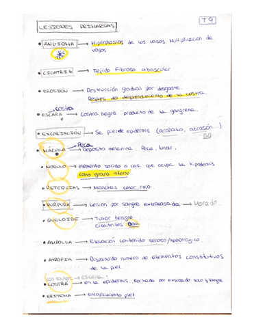 TEMA-9-LESIONES-Resumen-esquema.pdf