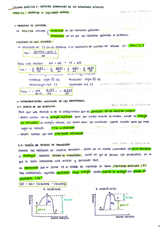 Quimica-Tema-2.2.-Cinetica-y-equilibrio-quimico.pdf