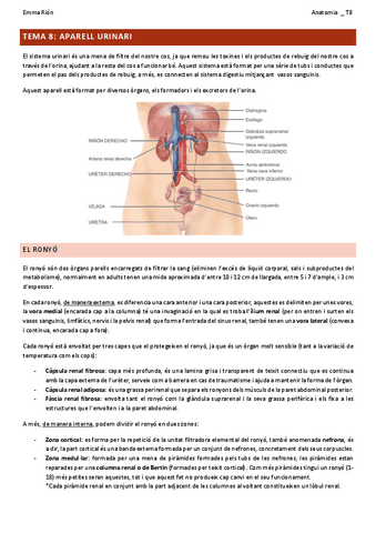 Tema-8-anatomia.pdf