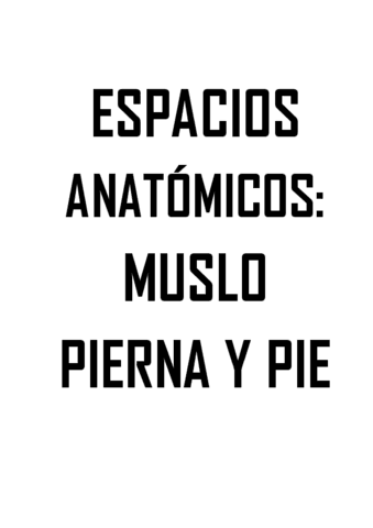 ESPACIOS-ANATOMICOS-PIERNA.pdf