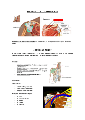 MANGUITO-DE-LOS-ROTADORES.pdf