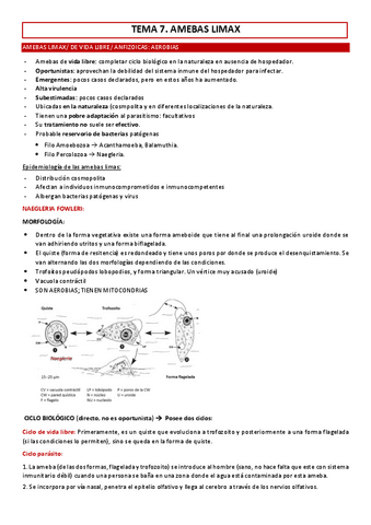 T7-Amebas-limax.pdf