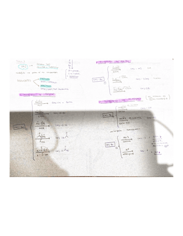 Tema-7-Esquemas-y-Actividades.pdf