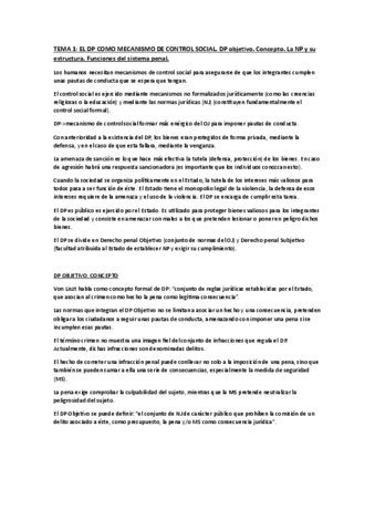 TEMA-1-DP.pdf