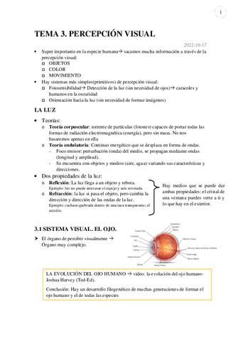 TEMA-3.Percepcion-visual-Revisado.pdf