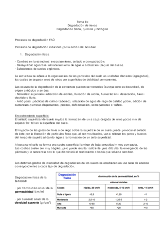 Tema 8b Rehabilitación.pdf