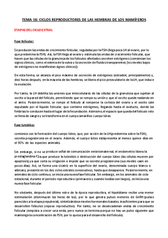 FISIO-T16.pdf