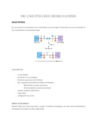 TEMA-4-EL-ENLACE-PEPTIDICO.pdf
