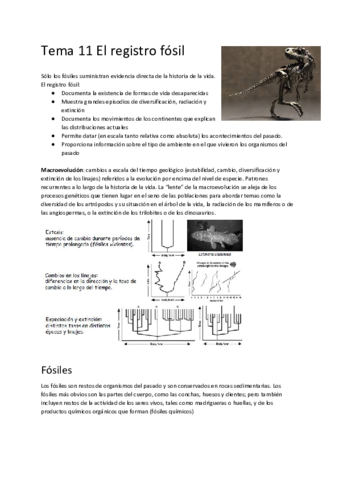Tema 11 El registro fósil.pdf