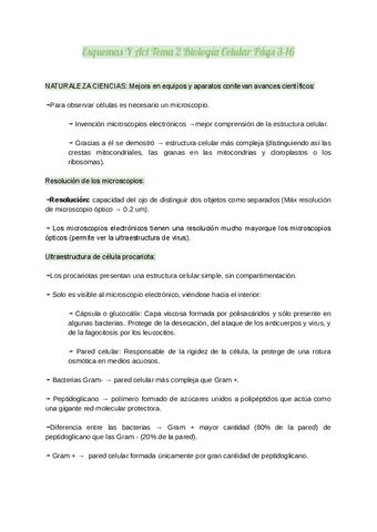 Esquemas-Tema-2-Biologia-Celular-Pags-3-16.docx.pdf