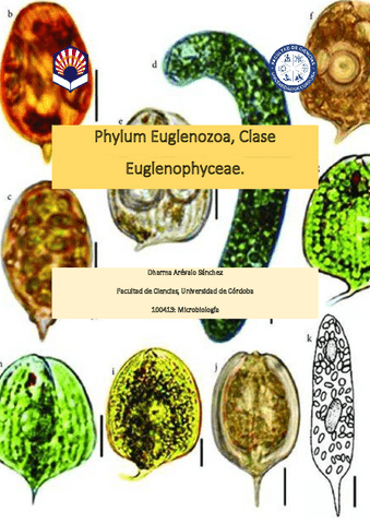 Ensayo-Phylum-Euglenozoa-NOTA-9.pdf