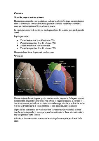 1.2-Corazon.pdf