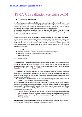 TEMA-9-LA-APLICACION-COERCITIVA-DEL-DI-3.pdf