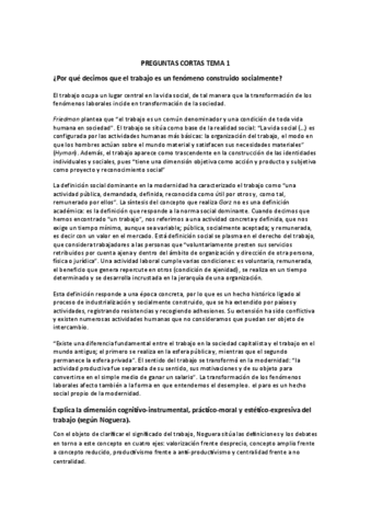 PREGUNTAS-CORTAS-desarrolladas.pdf