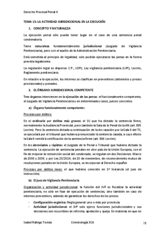 TEMA-13-DPP.pdf