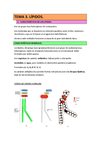 TEMA-3-BIOQUIMICA-LIPIDOS-22-23.pdf