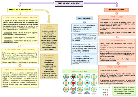 MAPA-CONCEPTUAL-TEMA-3.pdf