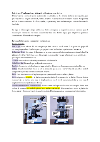 practicas-biologia-celular.pdf