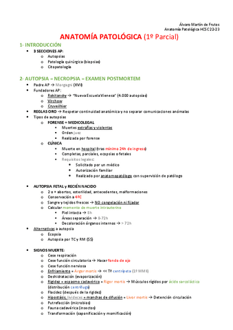 Resumen-AP-1-22-23.pdf