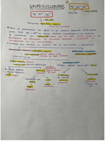 esquemas-practicas-analitica.pdf