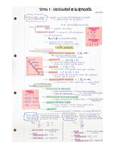 TEMARIO-EN-ESQUEMAS-MICRO-I.pdf