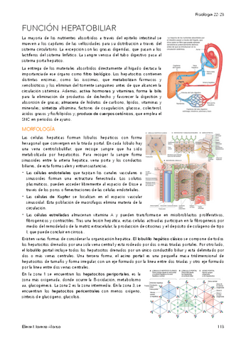 20.-Funcion-hepatobiliar.pdf
