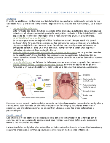 Faringoamigdalitis-y-absceso-periamigdalino.pdf