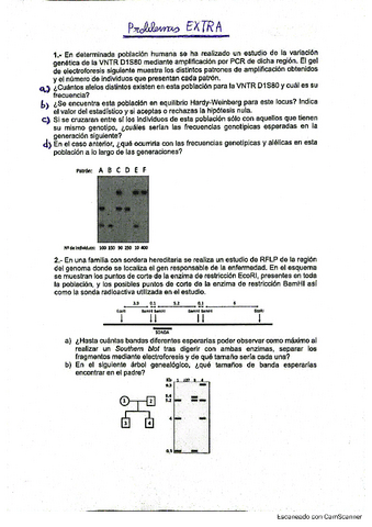 Problemas EXTRA (soluciones).pdf