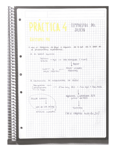 Cuestiones-pre-P4.pdf