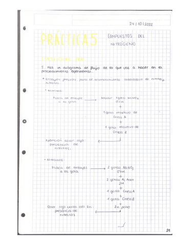 Cuestiones-pre-P5.pdf