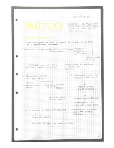 Cuestiones-Pre-P8.pdf