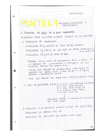 Cuestiones-pre-P9.pdf
